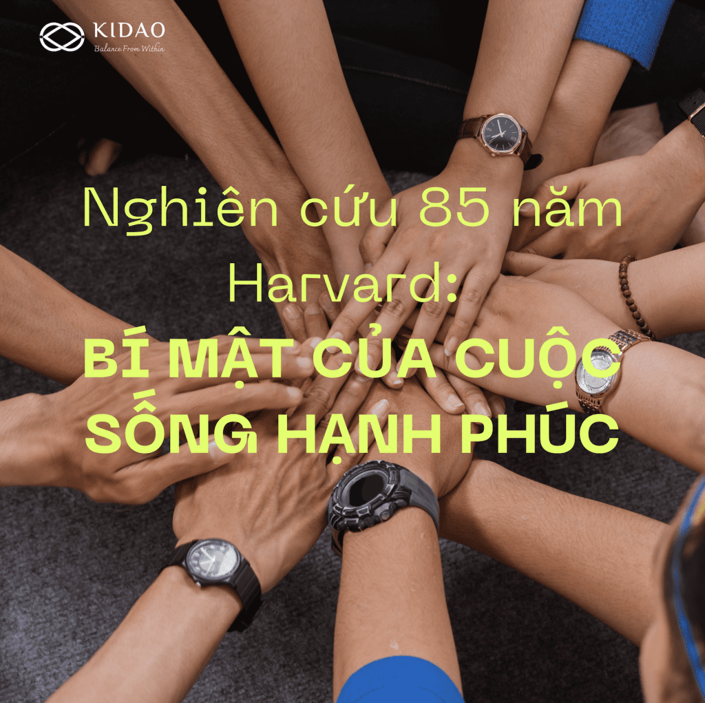 NGHIÊN CỨU 85 NĂM CỦA HARVARD: BÍ MẬT CỦA CUỘC SỐNG HẠNH PHÚC - Kidao